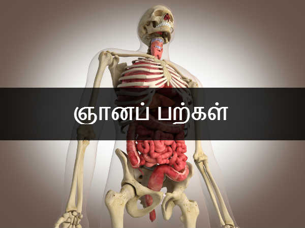 மனித உடலில் தேவையின்றி இருக்கும் பயனற்ற உடல் பாகங்கள்!!! | Nine Useless ...