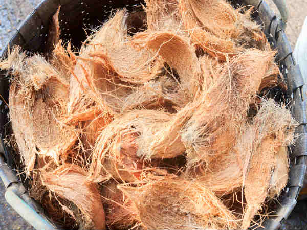 தேங்காய் நார் கொண்டு என்னவெல்லாம் செய்யலாம் ? | Benefits and uses of ...