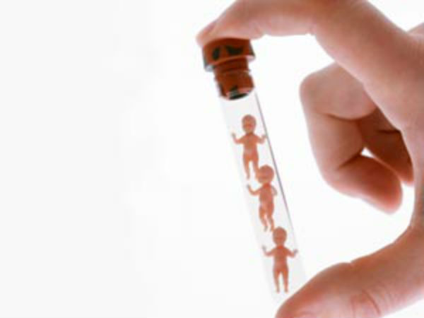 மகிழ மரத்தின் வியக்கும் மருத்துவ குணங்கள் பற்றி தெரிஞ்சுகோங்க ...