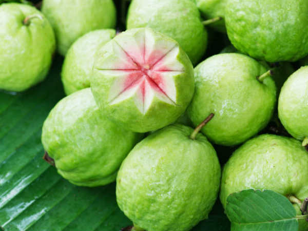 சிவப்பு கொய்யாவை சர்க்கரை நோயாளிகள் சாப்பிடலாமா? | Amazing Benefits Of ...