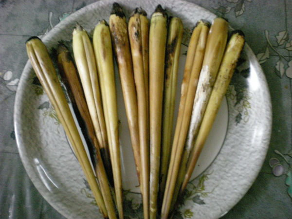 உங்களுக்கு பனங்கிழங்கு ரொம்ப பிடிக்குமா?... இத படிங்க... இன்னும் அதிகமா ...