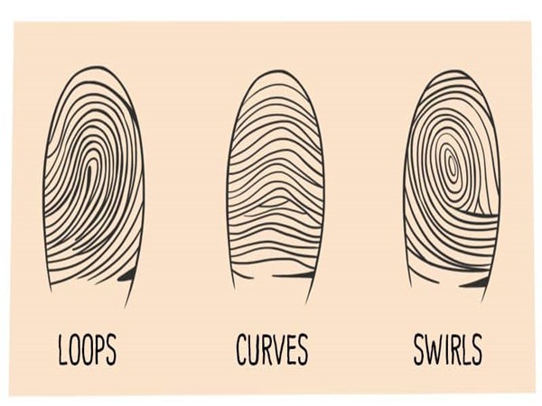 உங்கள் கைரேகை பற்றி ஆச்சர்யமான சூப்பர் விஷயங்கள சொல்றோம் கேளுங்க ...