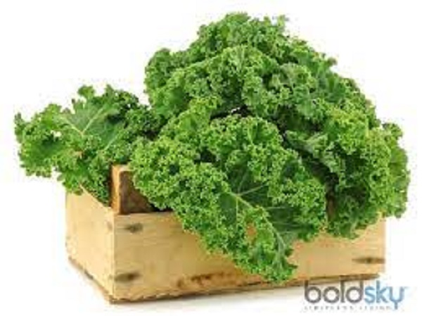 'இந்த' கீரையில் செய்த ஹேர் மாஸ்க்கை யூஸ் பண்ணுனீங்கனா? உங்க தலைமுடி ...