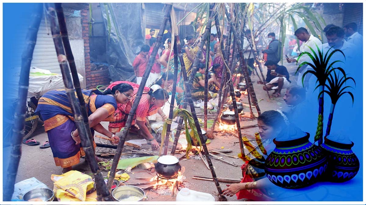 அறுவடை திருவிழாவான பொங்கல் பண்டிகையின் பூஜை படையல் எப்படி இருக்க ...