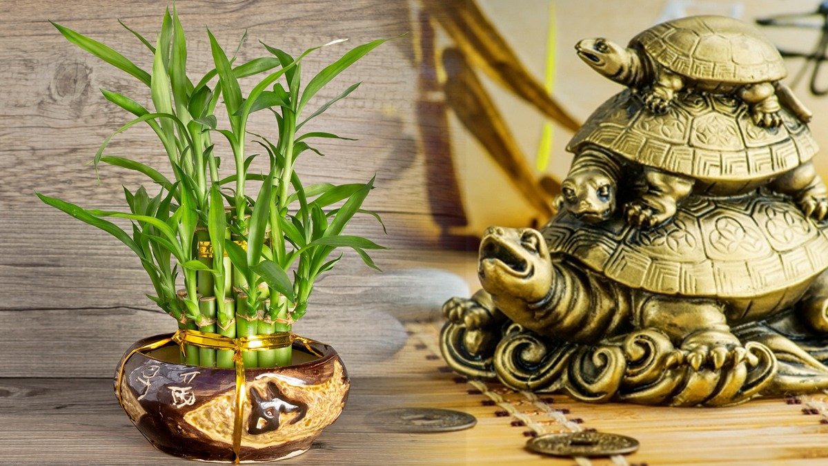 உங்க வீட்டிலிருந்து கண் திருஷ்டி மற்றும் தீய சக்தியை விரட்டணுமா? அப்ப ...