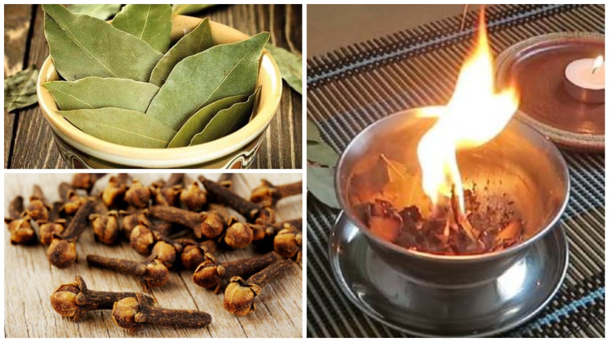 வீட்டுல 5 கிராம்பையும், 2 பிரியாணி இலையையும் எரிங்க.. அப்புறம் வீட்டுல ...