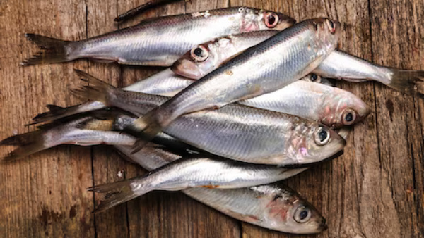 வாரம் ஒருமுறை மத்தி மீன் சாப்பிட்டால் என்னென்ன நன்மைகள் கிடைக்கும் ...