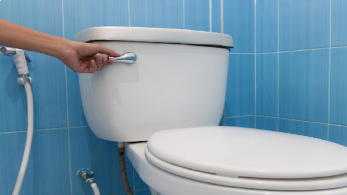 What Happens If You Don't Close The Toilet Lid at Madeleine Frayne blog